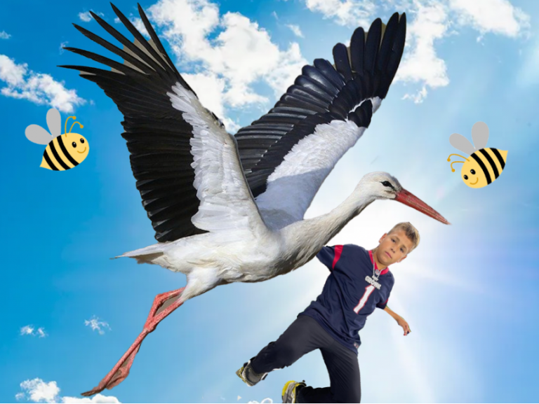 “Mommy, Where Do Baby Gronks Come From?”: Introduce the Birds and Bees ...